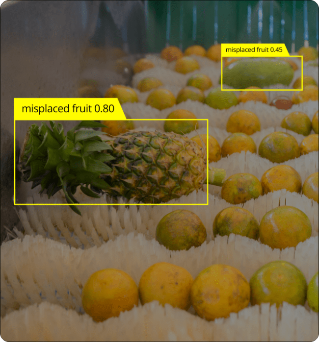 Foreign Particle Detection - ImageVision Foreign Particle Detection - ImageVision