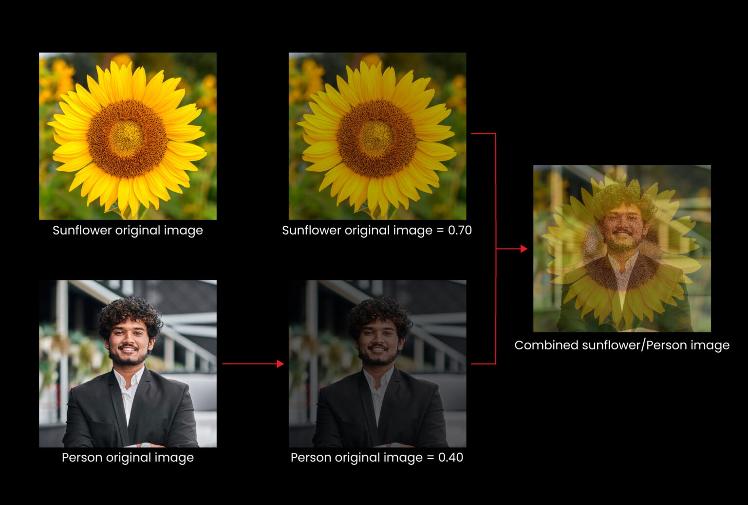 Image Data Augmentation in Computer Vision | ImageVision.ai