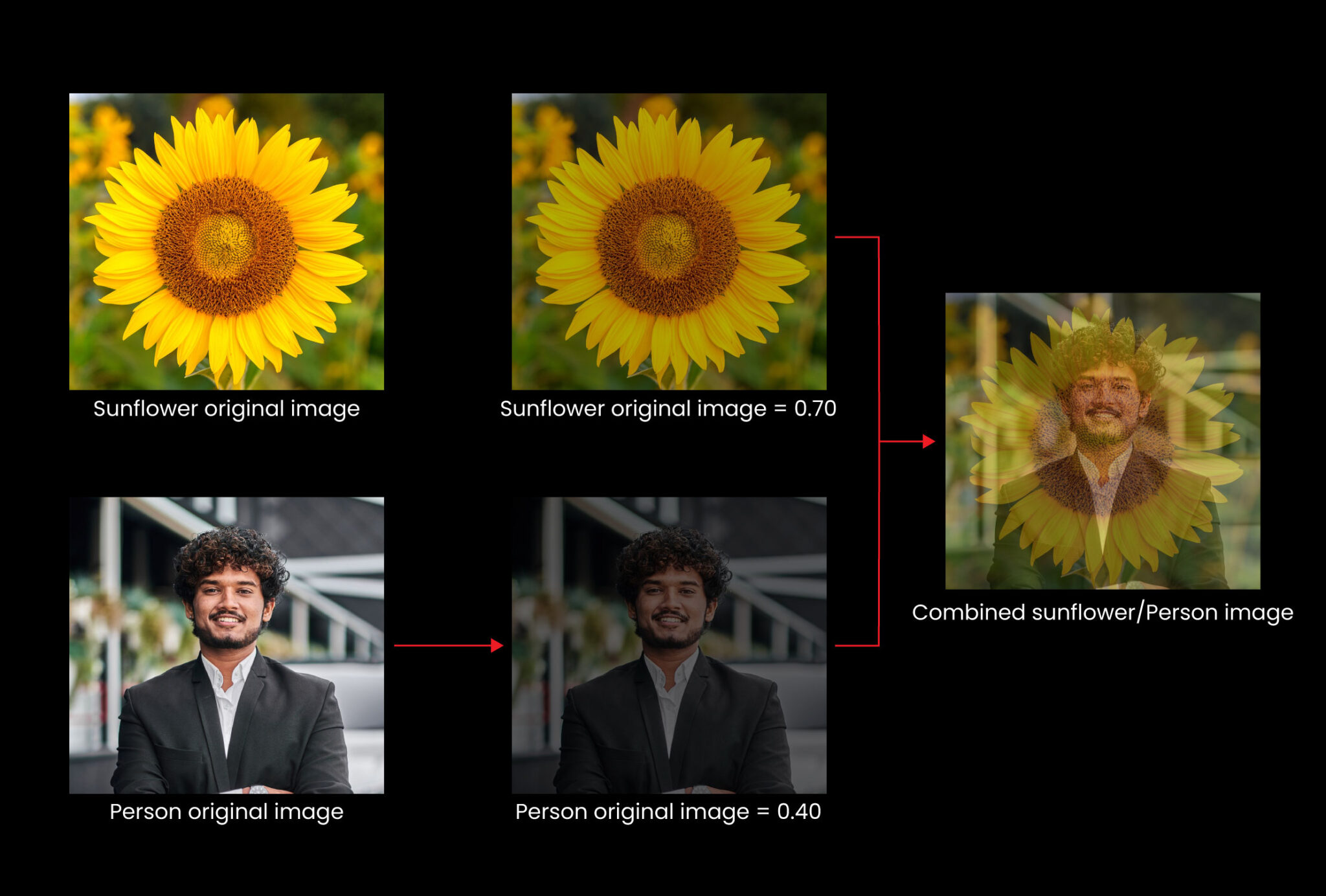 Image Data Augmentation in Computer Vision | ImageVision.ai