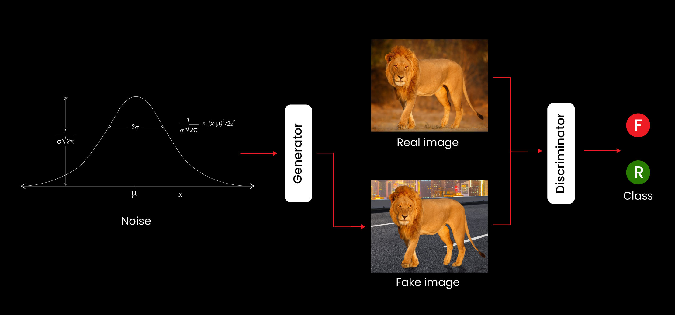 Image Data Augmentation in Computer Vision | ImageVision.ai