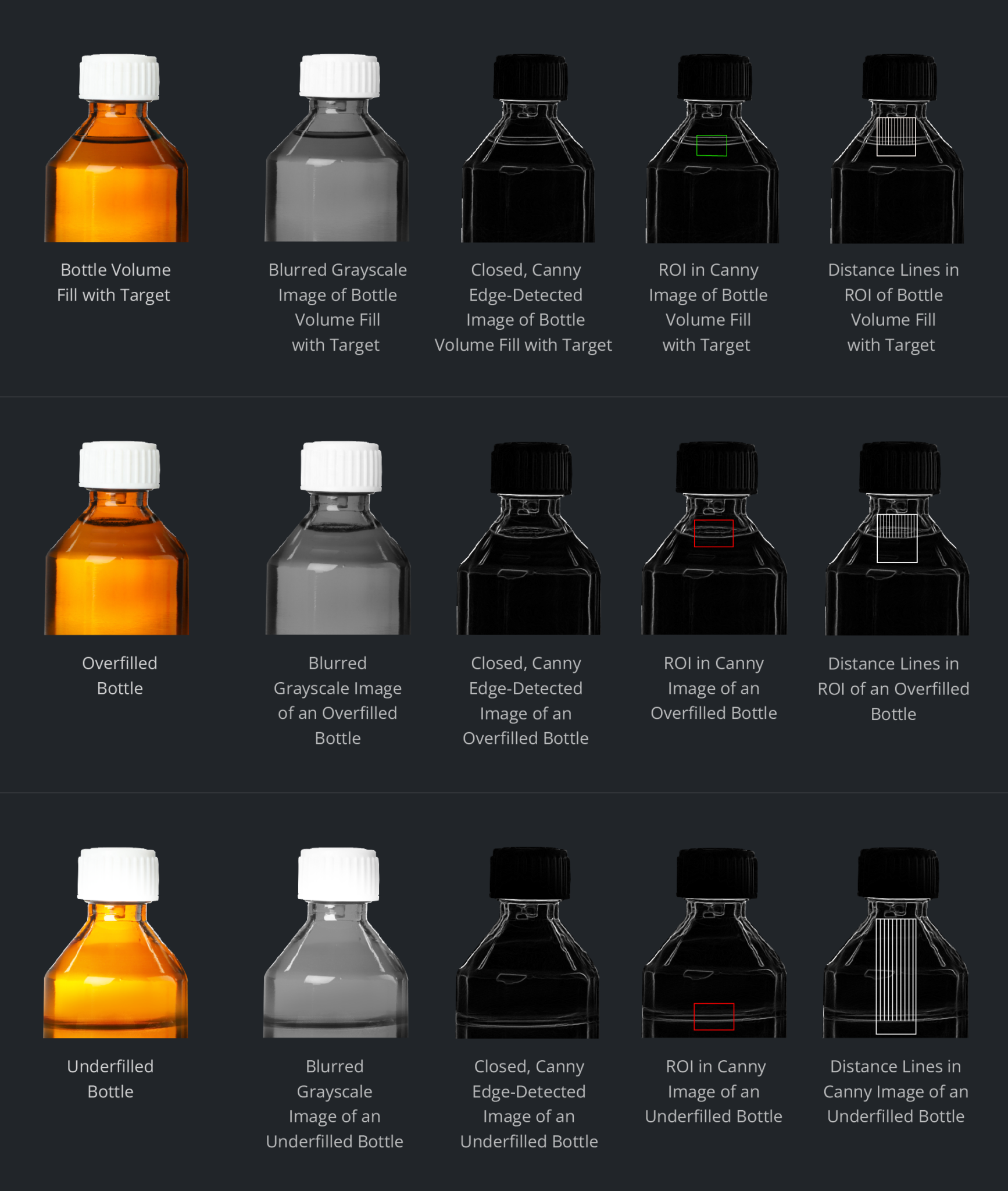 Fill Level Inspection with Vision AI in Bottles|ImageVision.ai